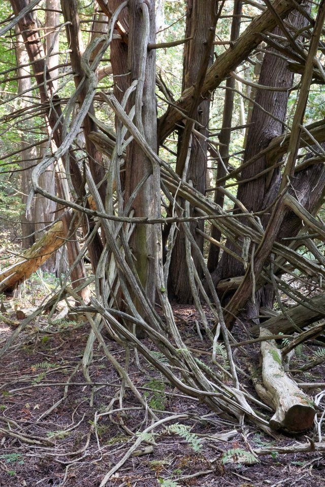 Rouge National Urban Park, Monarch Trail – Day Trip In An Hour